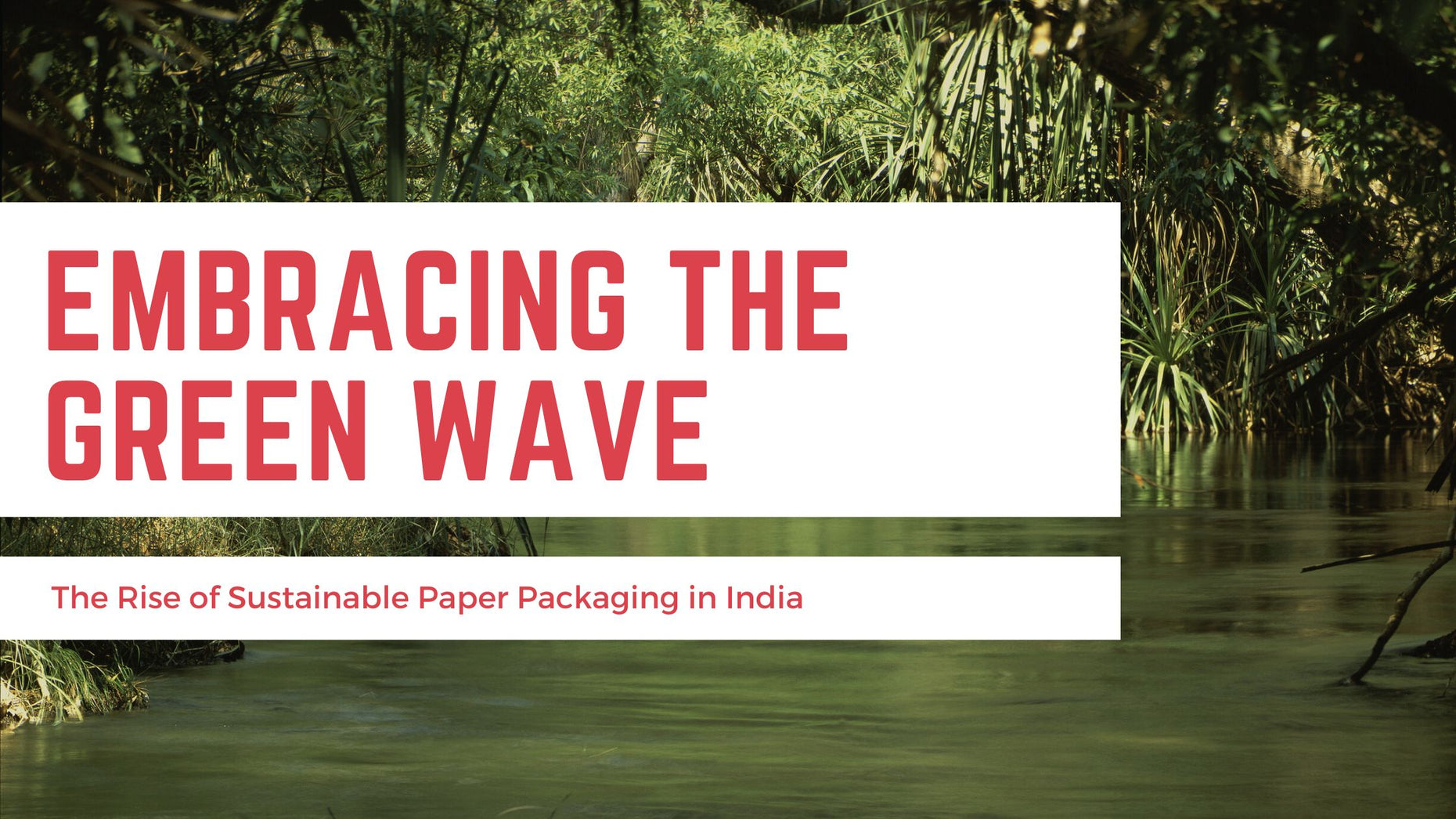 Embracing the Green Wave: The Rise of Sustainable Paper Packaging in I – Schmancy